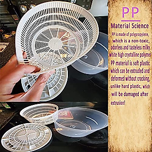 niceeshop Capacity 3L Salad Spinner Vegetable Washer Fruit Vegetable Bowl Salad Spinner with Cover Vegetable, Good Grips Salad Spinner, Kitchen Tool for Lettuce Dryer Salad Shooter Small Salad Spinner