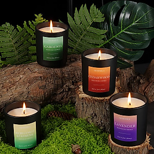 MORMEA Scented Candles, Cedarwood Aromatherapy Candles for Home Scented, Natural Soy Wax Candles, 8oz Long Lasting Candles for Men & Women, Jar Candles for Birthday & Holiday