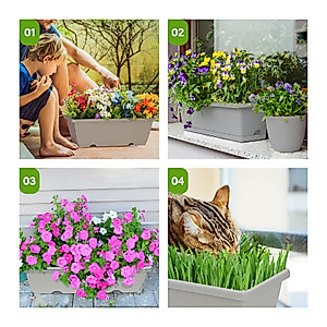 Whonline 8 Pack Window Planter Box, 17 Inches Plastic Window Boxes Rectangular Flower Vegetable Planters with Drainage Holes and Saucers for Indoor Plants Outdoor Garden Patio (Light Gray)