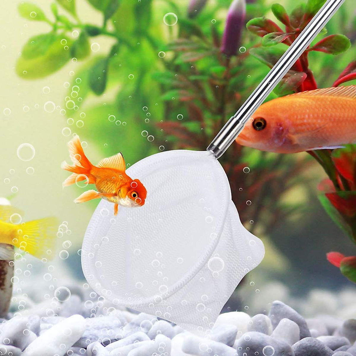 01 Fishing Net, Fishing Catch Net, Long Handled Fishing Net Retractable Fishing Net Telescoping for Fishes Crab Shrimps Lobster