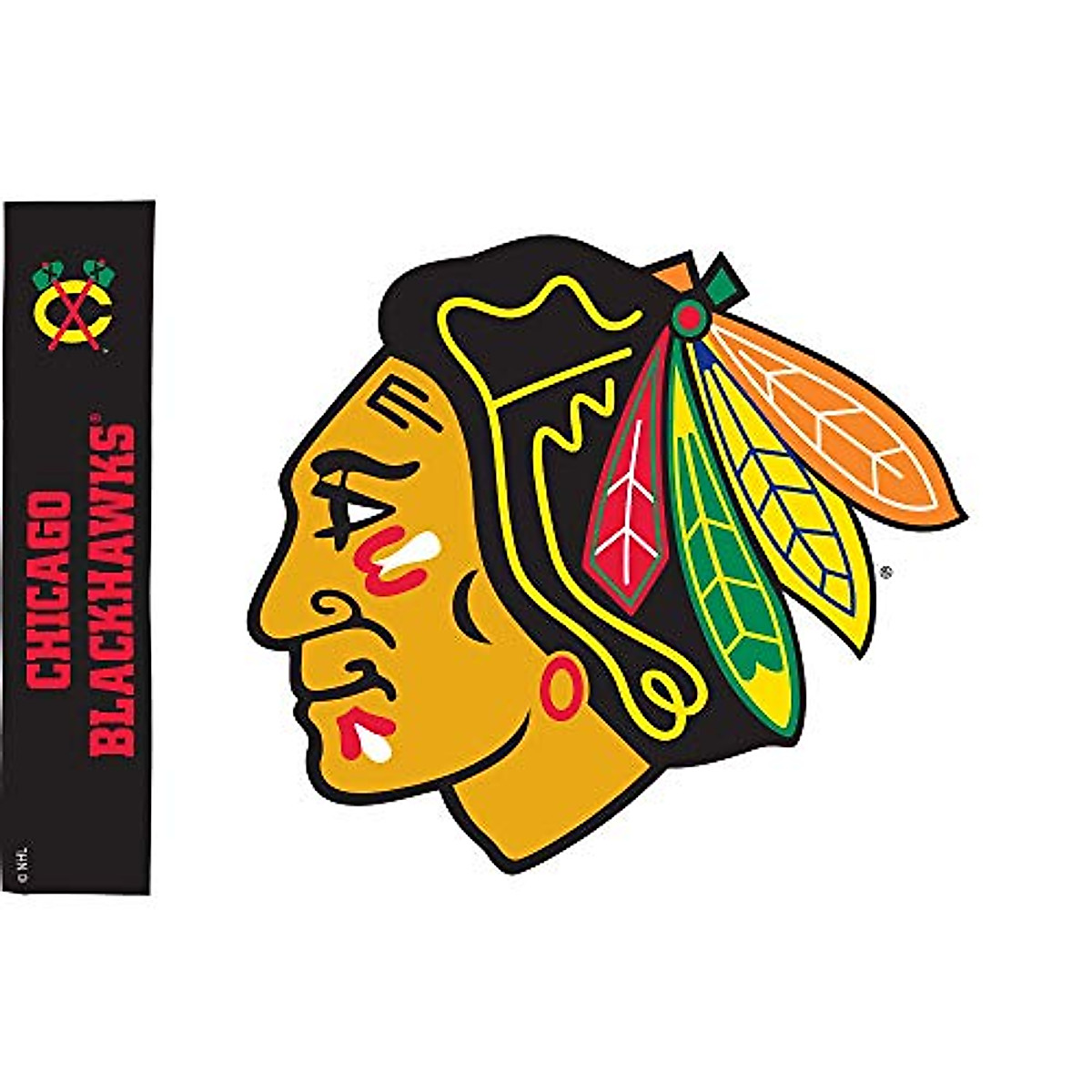 Tervis Made in USA Double Walled NHL Chicago Blackhawks Insulated Tumbler Cup Keeps Drinks Cold & Hot, 16oz, Colossal