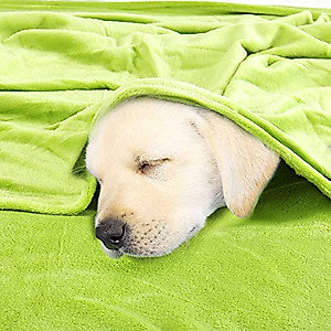 uxcell Flannel Fleece Blanket Twin Size - Soft Lightweight Plush Microfiber Bed Blanket for Sofa or Couch, Machine Washable Blankets Fleeces, Chartreuse 60x78 Inch