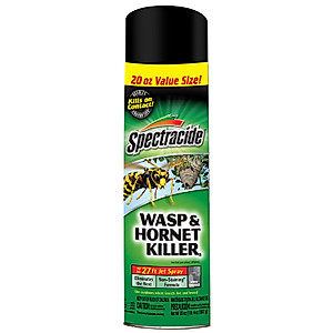 Spectracide Wasp & Hornet Killer Spray, Kills Wasps, Hornets and Yellow Jackets, Sprays Up To 27 Feet, 20 Ounce