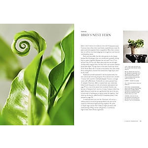 Terrain: The Houseplant Book: An Insider’s Guide to Cultivating and Collecting the Most Sought-After Specimens