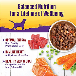 Wellness Complete Health Thick & Chunky Natural Grain Free Canned Wet Dog Food, Beef Stew, 12.5-Ounce Can (Pack of 12)