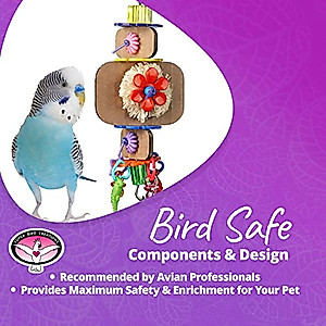 Super Bird Creations SB1090 Nibbles 'N Chips Bird Toy, Small/Medium Bird Size, 8.5" x 3" x 1.5"
