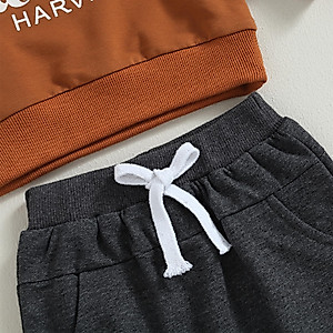 Toddler Baby Boy Halloween Outfits Tracksuit Pumpkin Print Long Sleeve Sweatshirt Elastic Pants Cute Infant Fall Clothes (Earthy Yellow, 18-24 Months)