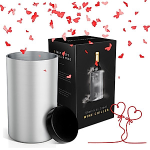 Wine Bottle Chiller, Wine Chiller Bucket with Ice Pack for 750ml White Wine Bottle or Champagne, Stainless Steel Wine Cooler Bucket, Champagne Bucket Perfect Wine Accessories for Wine Lovers