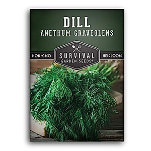 Survival Garden Seeds - Dill Seed for Planting - Packet with Instructions to Plant and Grow Popular Pickling Herbs in Your Home Vegetable and Herb Garden - Non-GMO Heirloom Variety - 1 Pack