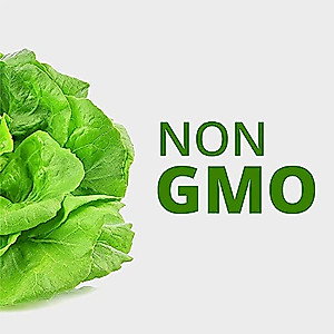 Seedra.US Lettuce Seeds for Indoor and Outdoor Planting - Home Garden - 1200 Seeds - GMO-Free and Heirloom Seeds - 2 Pack