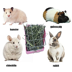 WEWAYKGJ Rabbits Hay Feeder Guinea Pigs Hay Rack Bunny Feeding Holder Hanging Chinchillas Hay Dispenser Minimize Waste Mess Hay Rack for Small Animals 2 Pcs (Pink)