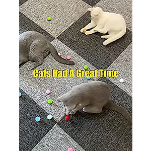 HEUHAI Cat Balls, 40 Pack 1.25 Inches 10 Colors, Soft and Non-Fading Cat Toy Balls, Cats, Ferrets, for Small and Medium Breed Sizes