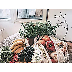 Ahyuan Ecology Reusable Cotton Mesh Grocery Bags 5Pack Long Hand Portable Washable Cotton Mesh String Organizer Shopping Bag Net Shopping Bags Net Tote Mesh Bags Fruit and Vegetable Bag (Beige)