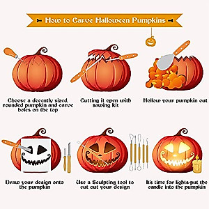 D-FantiX Halloween Pumpkin Carving Kit, 13 Pieces Professional Stainless Steel Pumpkin Carving Tools Kit with Stencils and Carrying Case - Carve Sculpt Jack-O-Lanterns Halloween Decorations DIY