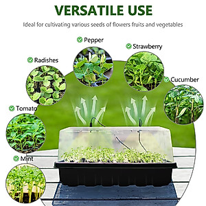 CANNABMALL 2 Packs Seed Starter Tray with Grow Light Samsung LM281B Diodes, Dimmable Seedling Starter Trays, 96 Cells Germination Trays Kit with Humidity Dome for Indoor Gardening Plant Black