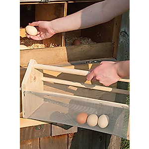 Chicken DIY: 20 Fun-to-Make Projects for Happy and Healthy Chickens (CompanionHouse Books) Coops, Ramps, Roosts, Nest Boxes, Feeders, Waterers, and More, with Materials Lists; plus Bonus Egg Recipes