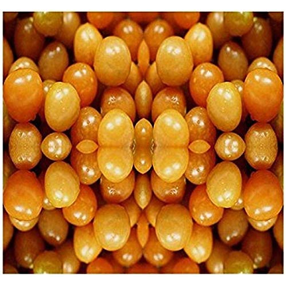 Cape Gooseberry Ground Cherry Seeds - Hundreds of Fruit on Each Plant. (100 - Seeds)