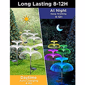 COXSENI Solar Flower Lights - 7 Color Changing Decor