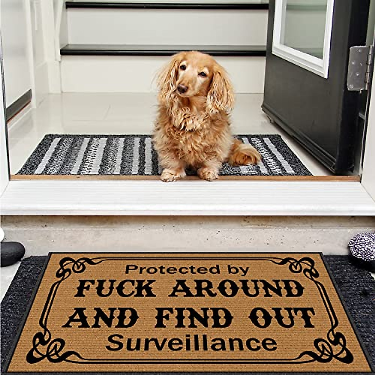 BinHang Indoor Floor Mats for Home Entrance, Funny Doormats for Front Door Protected by Fuck Around and Find Out Surveillance Rubber Backing Protect The Floor 30X18 Inch
