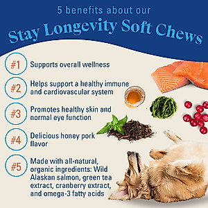 Soft Chew Multivitamin for Dogs - Longevity Focus | Overall Wellness, Healthy Immune and Cardiovascular System for Dogs | OTIS Healthy Dog Treats | 90 Counts, 9.52 oz.