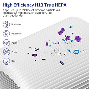 SAKEGDY SY910 KJ150 Replacement Filter, Compatible with SY910 (AF3001) /Generic Muliap KJ910 / Druiap KJ150 Purifier, 3-in-1 Filtration with H13 True HEPA, Upgrade Columnar Activated Carbon, 2 Pack.