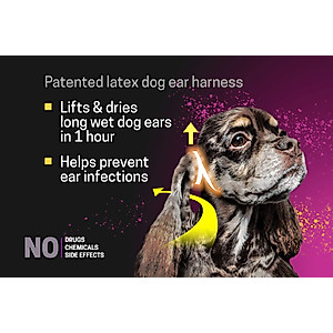 Dog Harness for Ear Care 3-Pack: Fits All Dogs with Long, Floppy Ears