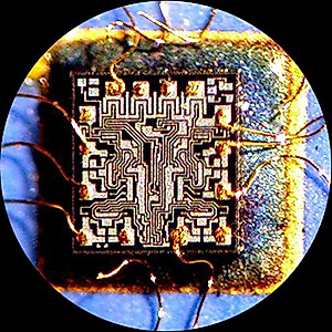 AmScope SM-4TZ-144 Professional Trinocular Stereo Zoom Microscope, WH10x Eyepieces, 3.5X-90X Magnification, 0.7X-4.5X Zoom Objective, 144-Bulb LED Ring Light, Double-Arm Boom Stand, 110V-240V, Includes 0.5X and 2.0X Barlow Lens