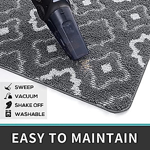 DEXI Door Mats Indoor, Durable Absorbent Non Slip Front Door Rugs for Inside House, Low Profile Easy Clean Entrance Mat, 36"x24", Grey