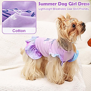 Yikeyo Dog Clothes Girl Dog Dress Small Dogs Puppy Dresses Pet Dress Shirt Female Yorkie Chihuahua Cat Apparel Birthday Party Costume Mermaid Princess Outfit(Purple，M)