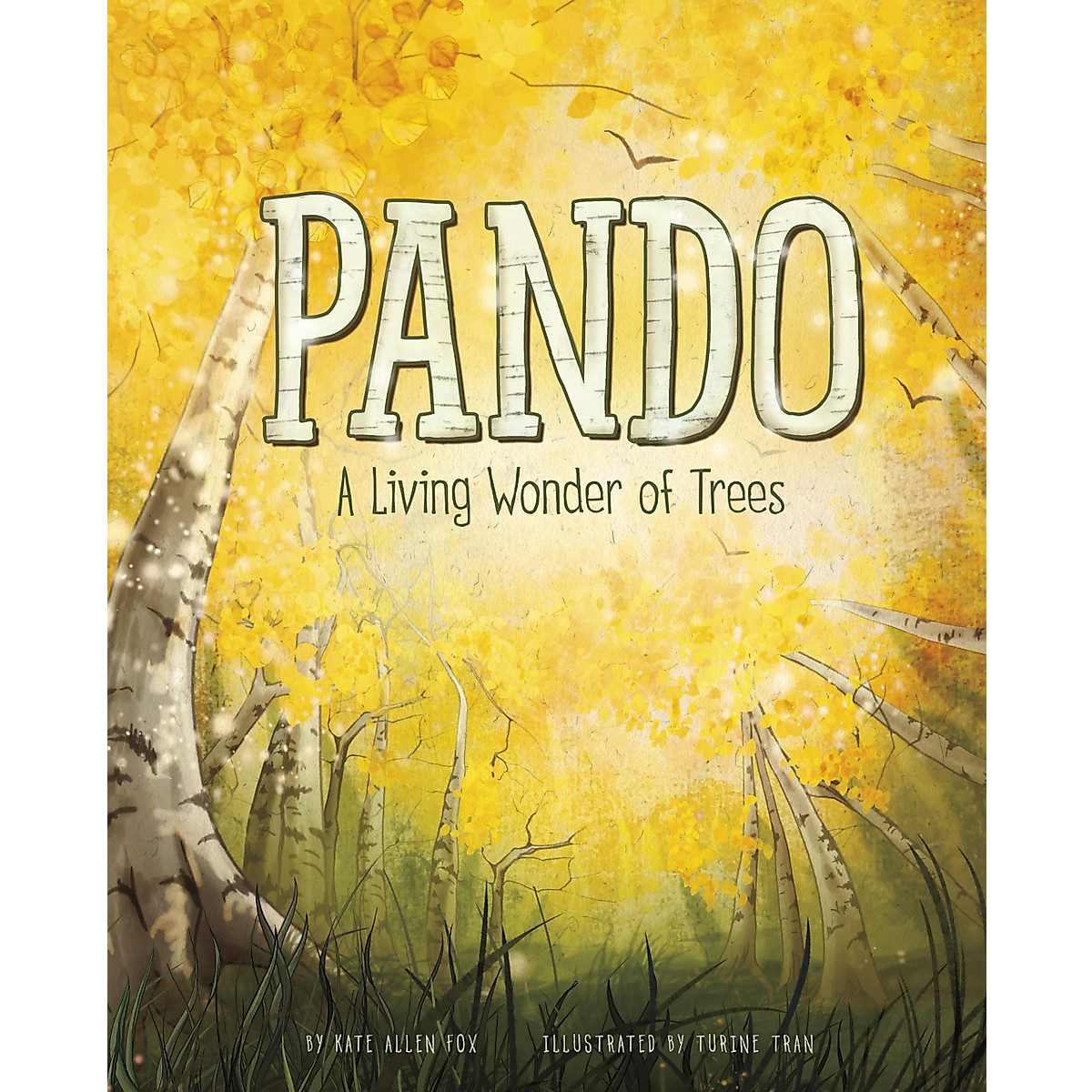 Pando: A Living Wonder of Trees