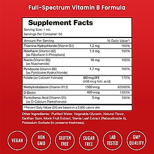 NutraChamps Vitamin B Complex Liquid Drops | B Vitamins Complex Supplement with B1, B2, B3, B6, B7, B9 & Methyl B12 Drops for Adults & Kids | Vegan Berry Flavor 2oz | 60 Servings / 2 Month Supply
