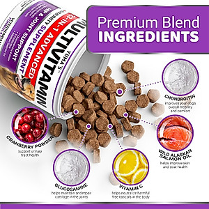 2-Pack Dog Multivitamin Chewable with Glucosamine - Dog Vitamins and Supplements - Senior & Puppy Multivitamin for Dogs - Hip & Joint Support - Immune Health, Skin, Heart, Digestion, Probiotics