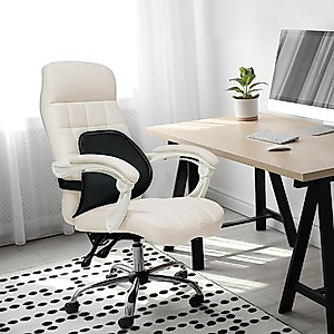 SANHSEHOME Lumbar Support Back Support for Office Chair 2 Pack Lumbar Support Pillow for Car Chair Back Support with Triple Layer Mesh & Adjustable Straps