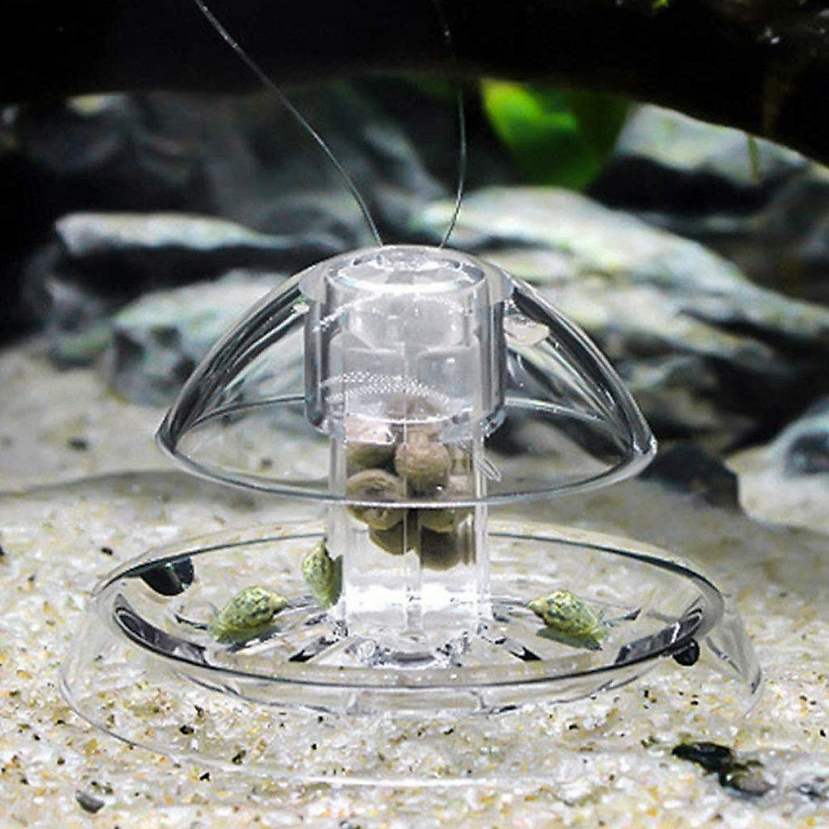 KVSERT 2 Pcs Snail Trap for Fish Tank Aquarium Plastic Clear Snail Trap Planarian Leech Catcher 6cm