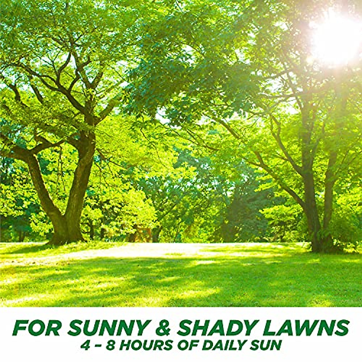 One Step Complete Tall Fescue 5lb. Grass Seed + Mulch + Fertilizer for Patch Repair