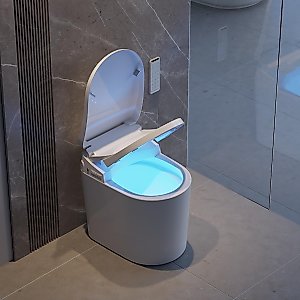 Homary Modern Small Smart Toilet Bidet, Floor Mounted Automatic Toilets for Bathroom, One-Piece Elongated Inteligente Toilet with Auto Flush,Heated Seat, Warm Water, Self Cleaning