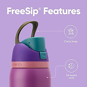 Owala FreeSip Insulated Stainless Steel Water Bottle with Straw for Sports and Travel, BPA-Free, 32-oz, Voodoo