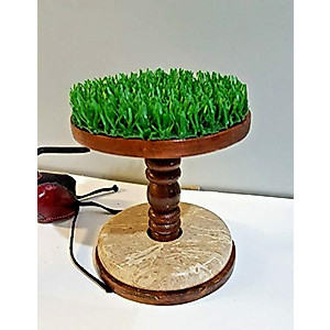 Falconry Wood Block Perch 5.5" Kestrel & Merlin, Marble & Astroturf (Small Size)