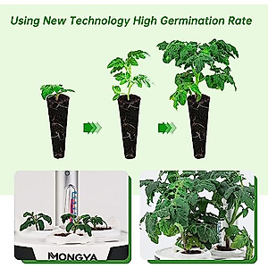 INOVASHON Grow Sponges for Hydroponics, Hydroponics Growing System Plant Sponge, Hydroponics Supplies Starter Kit, Herb Indoor Gardening System, Replacement Plant Germination Kits (50 Packs)