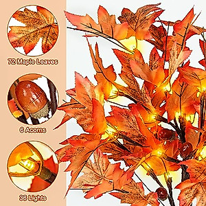 Remon 36 LED Lighted Fall Maple Tree - 1.5FT Thanksgiving Tabletop Lamp Decor with, 72 Maple Leaves, 6 Acorns, Timer Battery Operated 18 Inch Burlap Base Fall Artificial Tree for Autumn Decorations