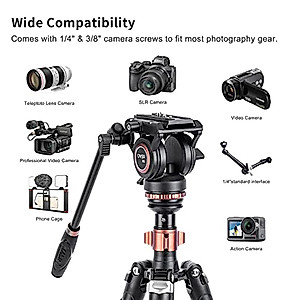Cayer CF2451 Video Tripod 77 inches Carbon Fiber Tripod Leg with Fluid Drag Head, 4-Section Compact DSLR Tripod Convertible to Monopod for DSLR Camera, Video Camcorder