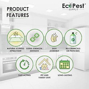 Roach Trap – 20 Pack | Sticky Indoor Glue Traps for Roaches and Other Bugs and Crawling Insects | Adhesive Cockroach Motel, Bait Trap, Monitor, Killer and Detector for Pest Control