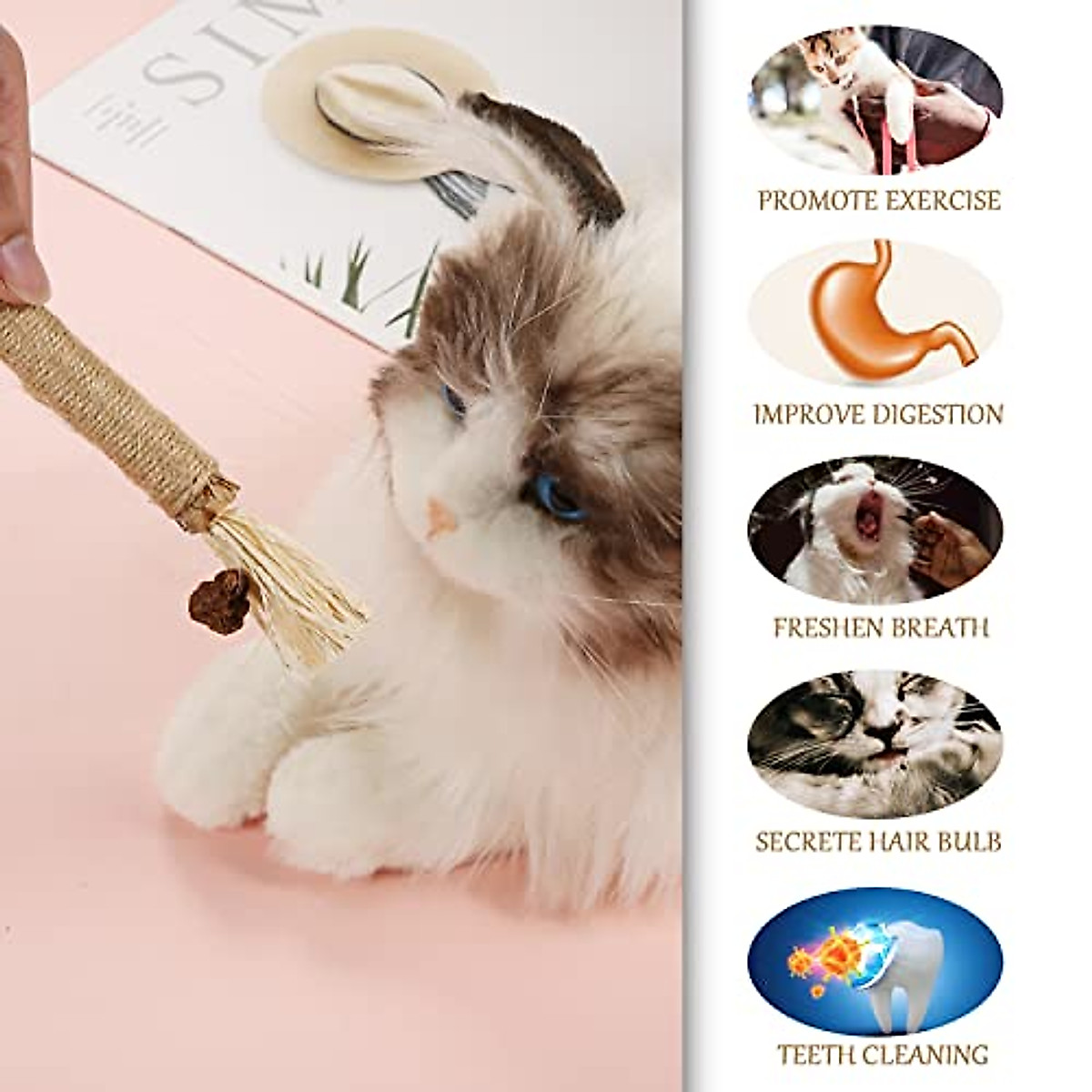 KINBOM 4pcs Cat Chew Toys Natural Silvervine Cat Dental Chew Sticks Cleaning Teeth Chew Catnip Toys for Cat Treat Cat Lick