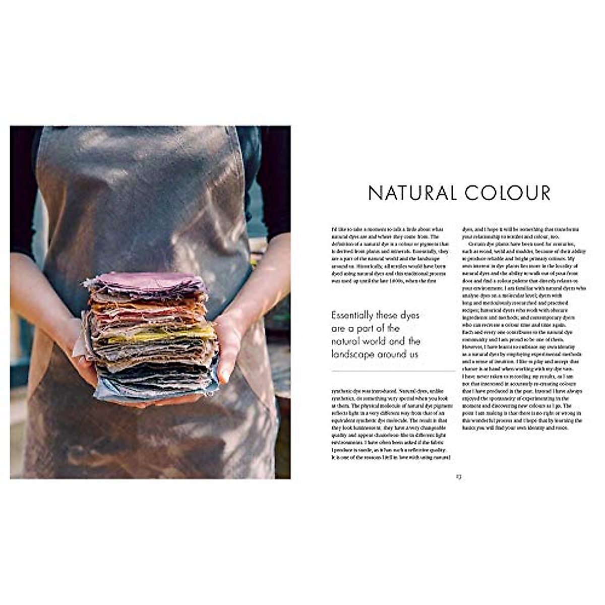 The Wild Dyer: A Maker's Guide to Natural Dyes with Projects to Create and Stitch