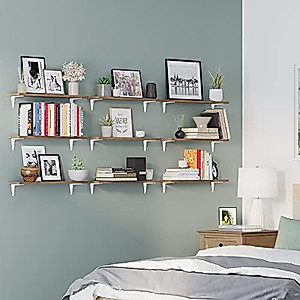 Wallniture Arras Floating Shelves for Wall Decor, 24" Bookshelf for Living Room Decor, Kitchen Organization and Storage Shelves, Bedroom Wall Shelf Set of 9, Walnut