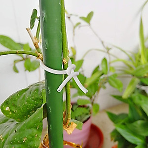 KINGLAKE GARDEN Flexible Soft Wire Ties,2.0 MM 65.6 Feet Twist Garden Ties,Heavy Duty Reusable Plant Twist Ties for Support Plants,Office Organization and Home (White)