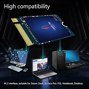 GAMERKING 256GB M.2 2230 SSD NVMe PCIe Gen 3.0X4 Internal Solid State Drive Compatible with Steam Deck/Microsoft Surface pro 8/pro 7+/pro X/laptop3/laptop4(M.2 2230 PCIe 256GB)