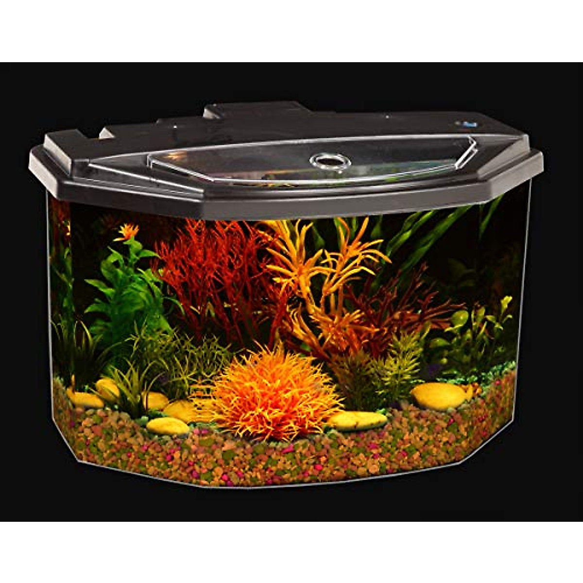Koller Products Plastic 3-Gallon Aquarium Starter Kit with 7 Colors LED Lighting and Complete Filtration, Ideal for a Variety of Tropical Fish , Betta Fish, Tropical Fish, Cichlids, Ornamental Shrimp