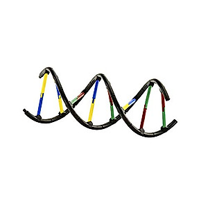 Thames & Kosmos Biology Genetics and DNA Multicolor, med