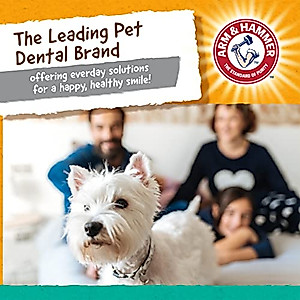 Arm & Hammer for Pets Super Treadz Gorilla Dental Chew Toy for Dogs - Dog Dental Toys Reduce Plaque & Tartar Buildup Without Brushing - Safe for Dogs up to 35 Lbs